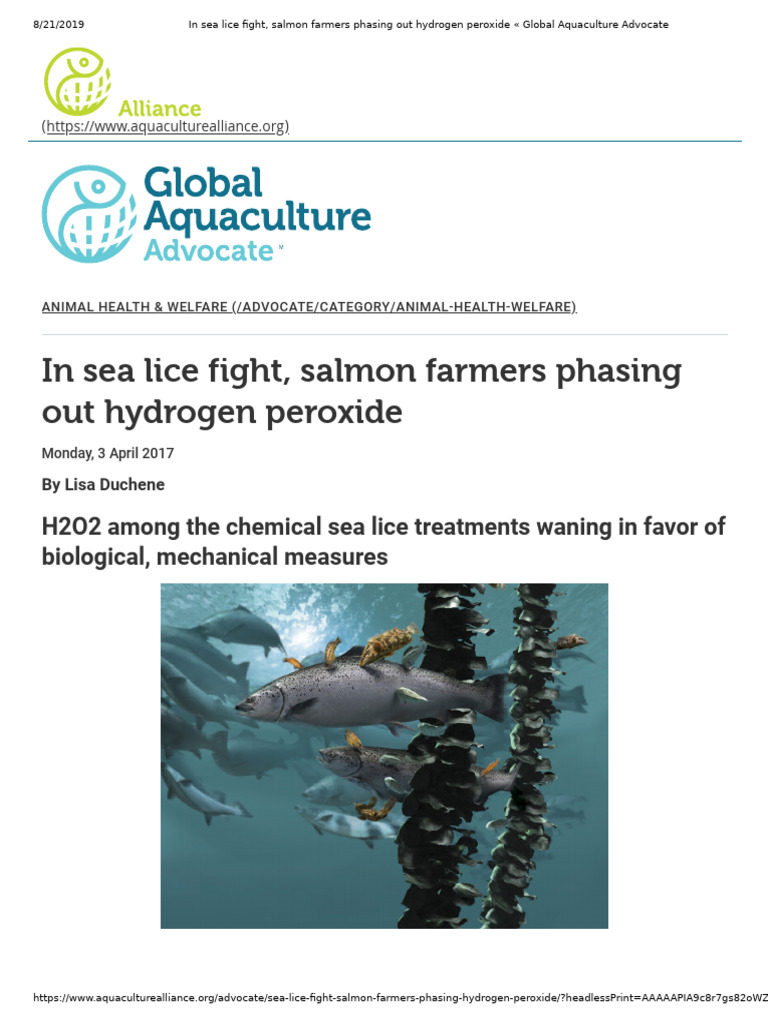Sea Lice Fight Salmon Farmers Phasing Hydrogen Peroxide | PDF | Aquaculture