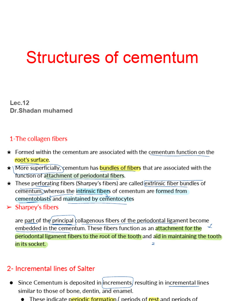 12 Structures of Cementum | PDF | Mouth | Anatomy