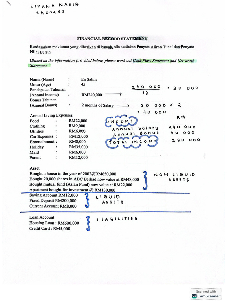 Financial Record Statement | PDF