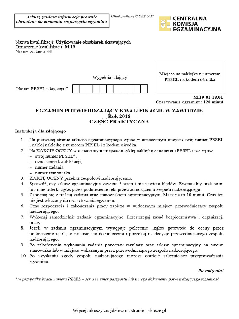 m19 2018 Styczen Egzamin Zawodowy Praktyczny | PDF