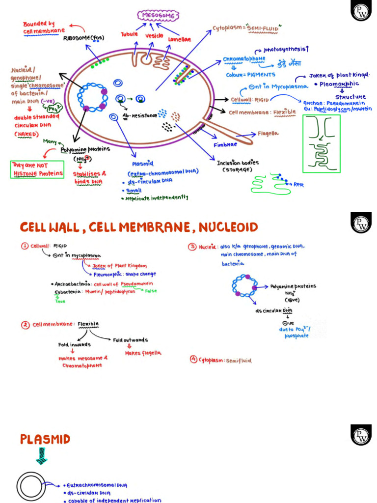 Cell 2 Inverted | PDF