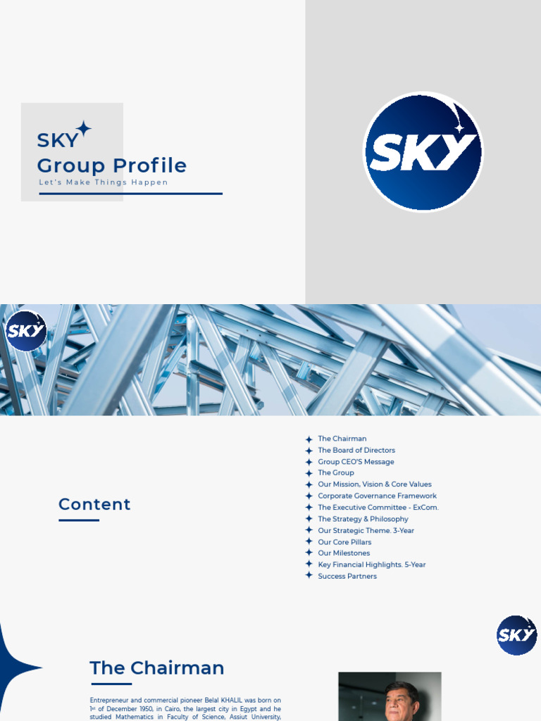 New Sky Holding Profile | PDF | Corporate Governance | Governance