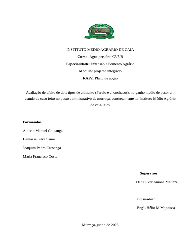 Plano de Accao CHIPANGA Novo Agora | PDF