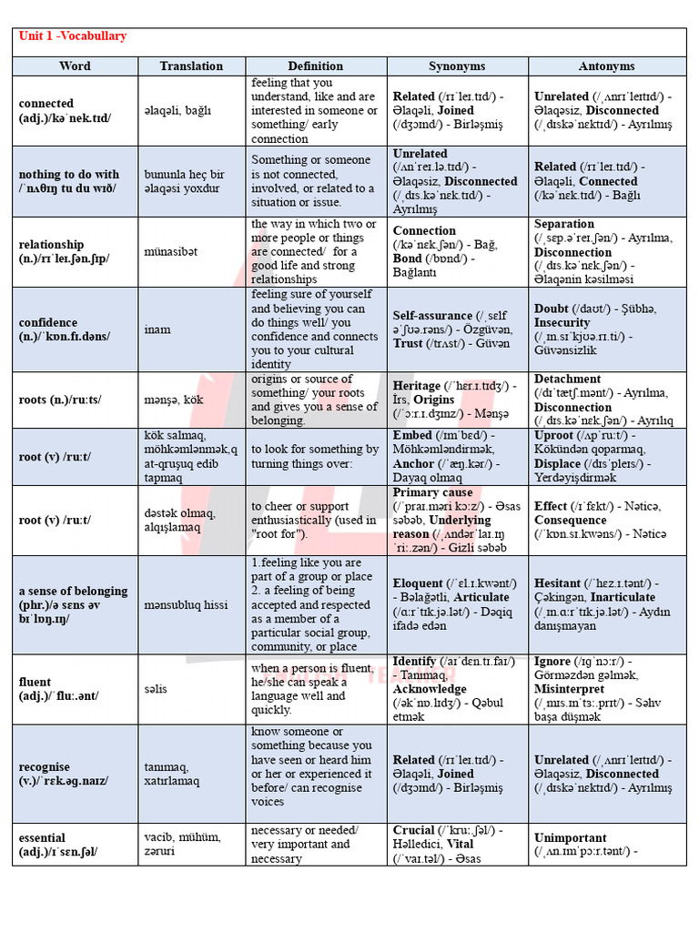Grade 9 new vocabulary-unit 1-2-1 | PDF