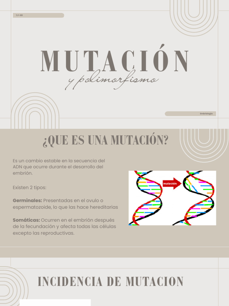 MUTACION | PDF | Mutación | Polimorfismo de nucleótido simple