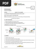 Iodine Starch Test Procedure and Results | PDF | Starch | Foods