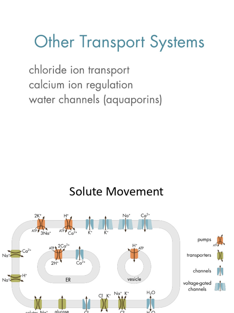 Lecture 2 Membrane Biophysics | PDF | Cell (Biology) | Ion