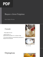 Tabela de Anilhas FOB 2025 | PDF | Aves | Ornitologia