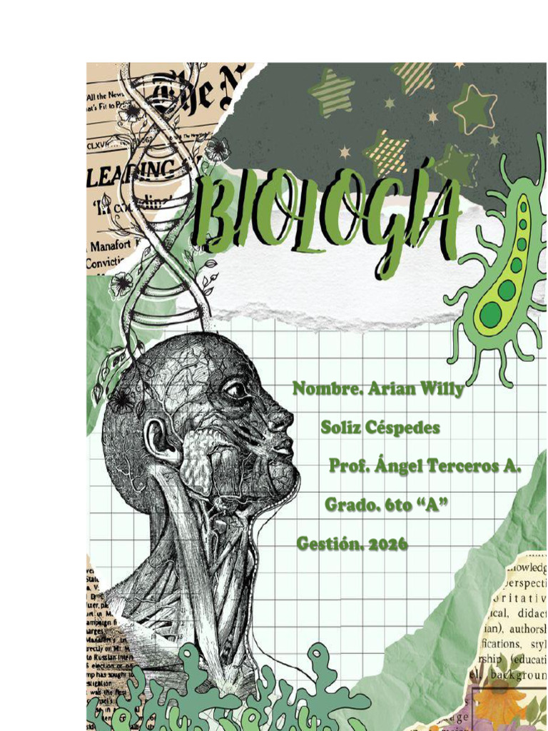caratulas | PDF