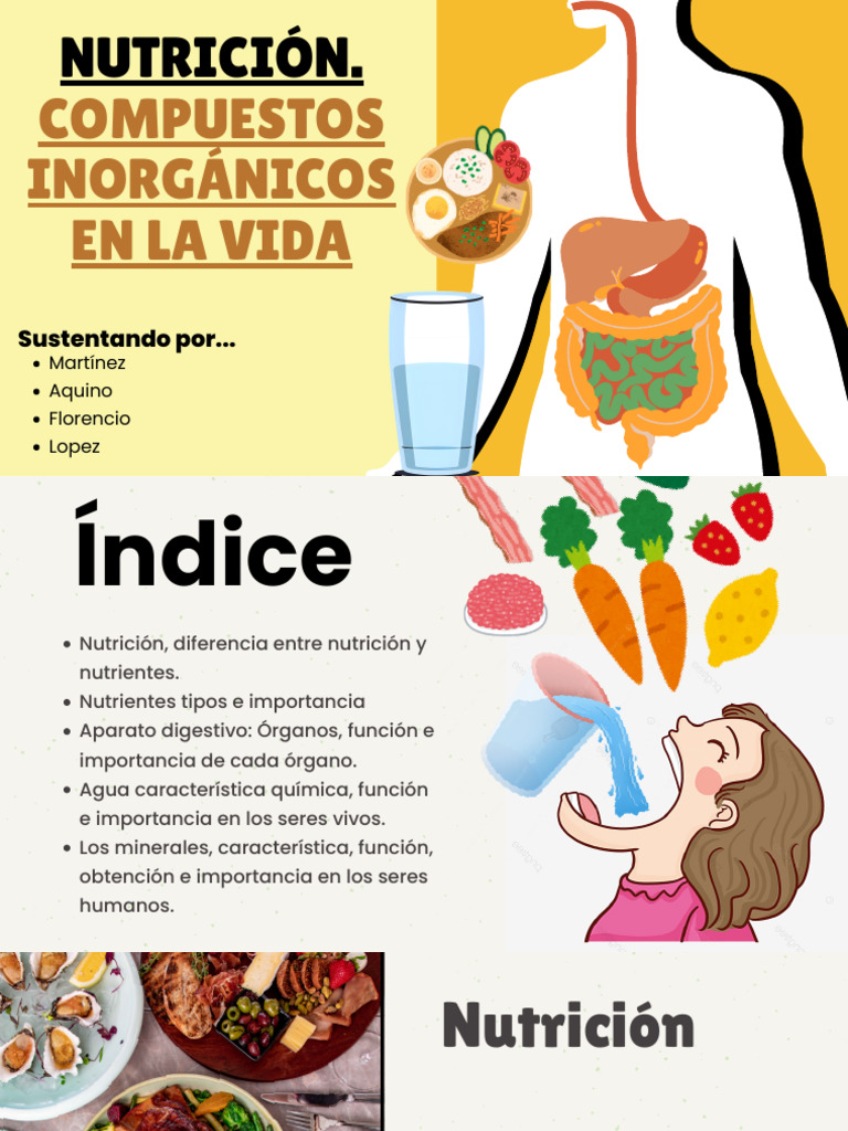 NUTRICIÓN: Compuestos Inorgánicos en La Vida | PDF | Nutrientes | Nutrición