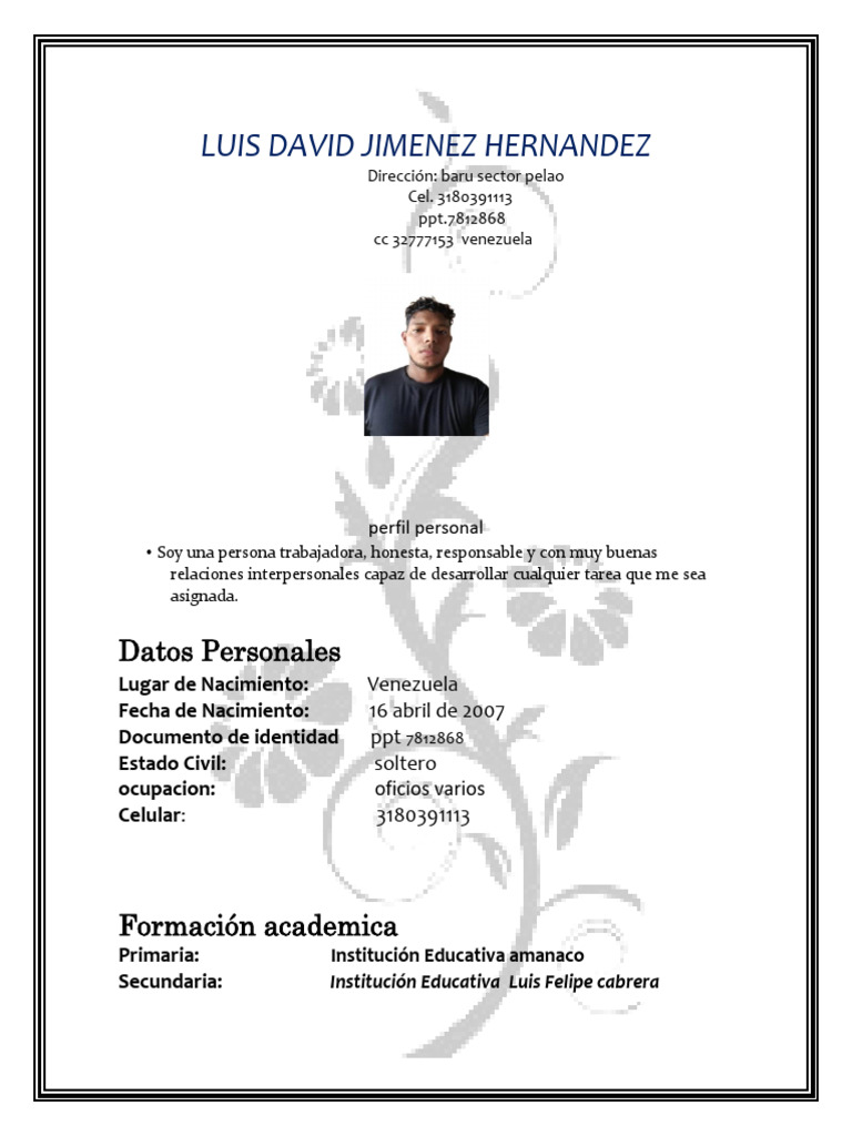 Hoja de Vida Luis David Jimenez | PDF