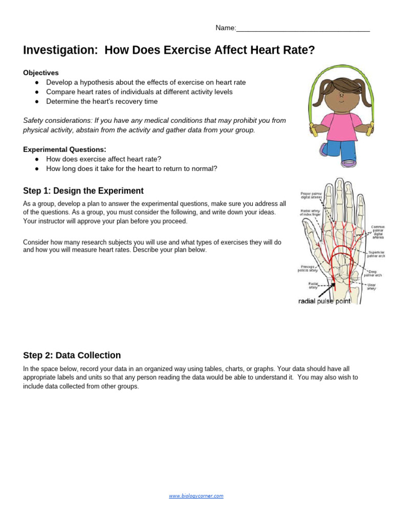 Investigation_ How Does Exercise Affect Heart Rate | PDF