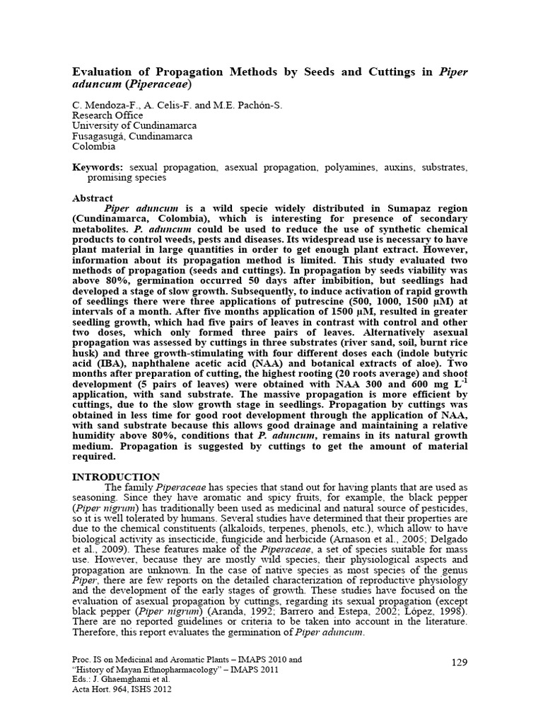 Acta Horticulturae Propagation Piper | PDF | Root | Auxin