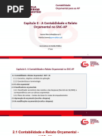 Estrutura do Plano de Contas SNC-AP | PDF | Contabilidade | Contas ...