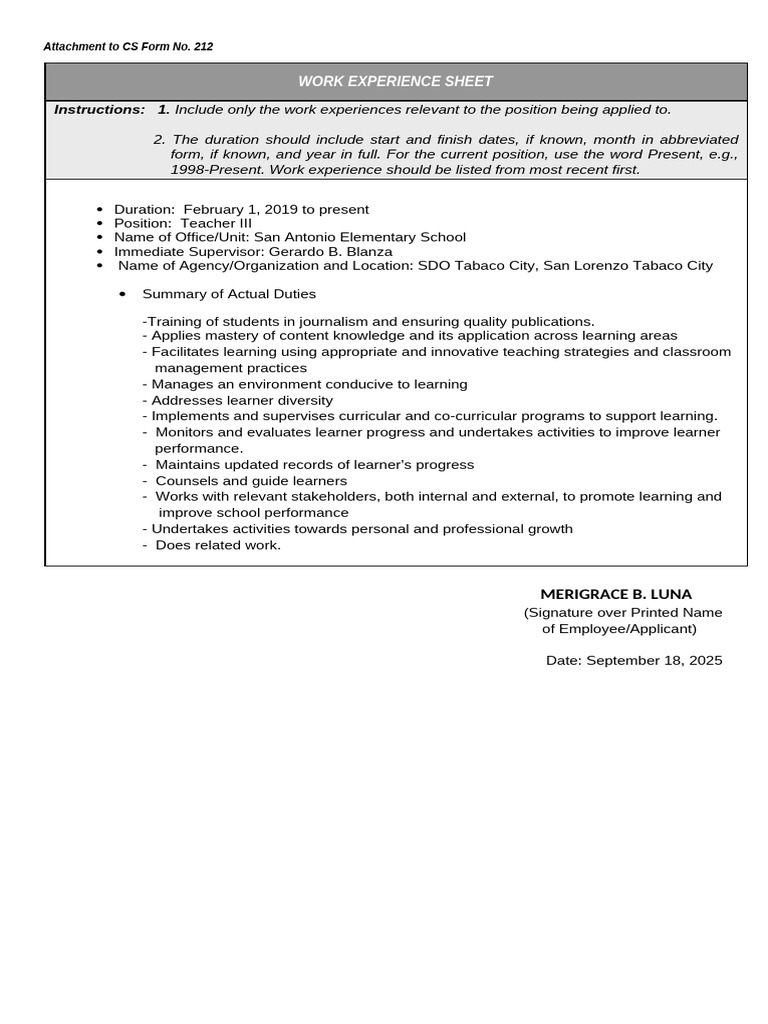 Edit-Work Experience Sheet | PDF