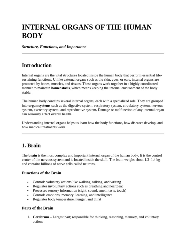 Internal Organs of The Human Body | PDF | Human Body | Small Intestine