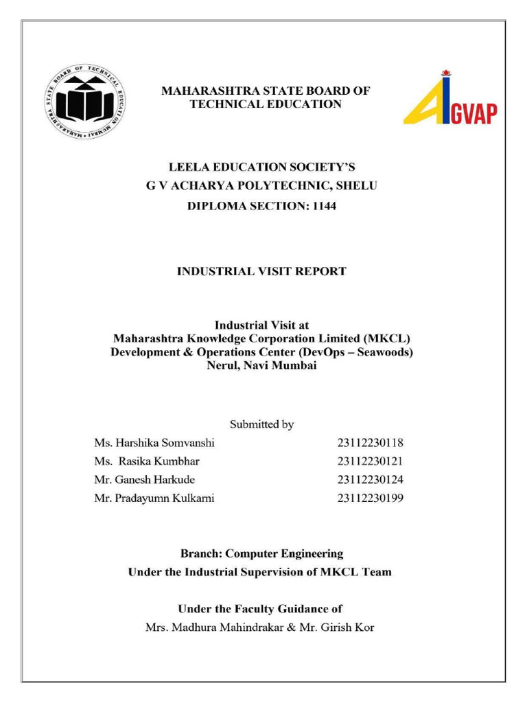 Iv Report | PDF