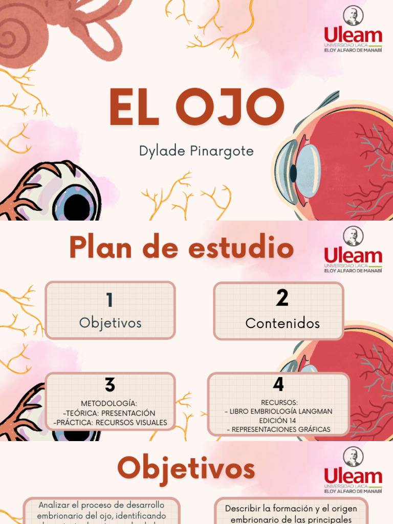 Pink Beige Playful Human Eye Anatomy Group Project Presentation ...