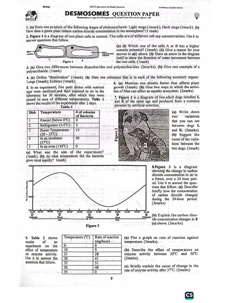 Bio f4 Desmosomes Paper | PDF