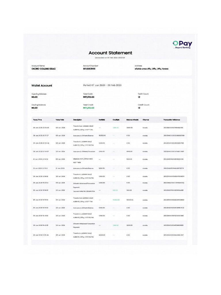 Account Statement | PDF