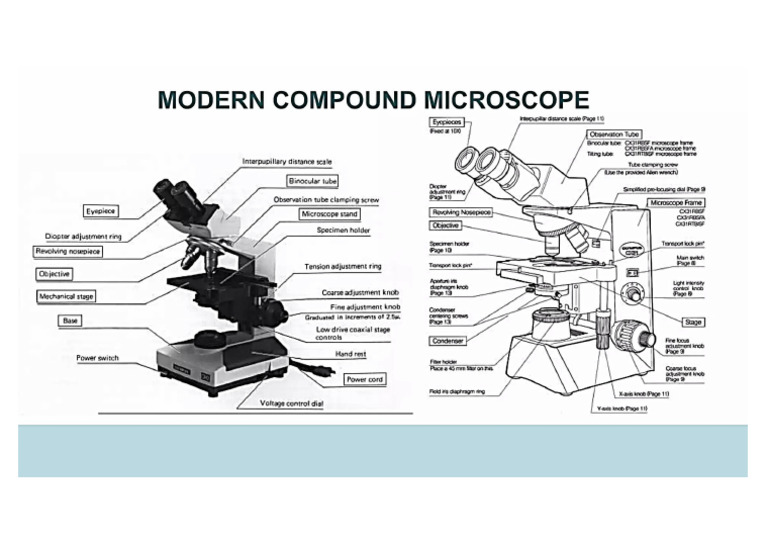 Print Microscope | PDF