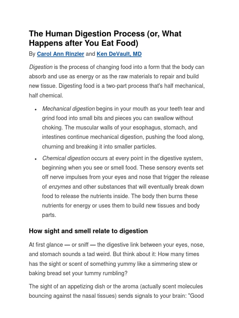 The Human Digestion Process | PDF | Digestion | Human Digestive System