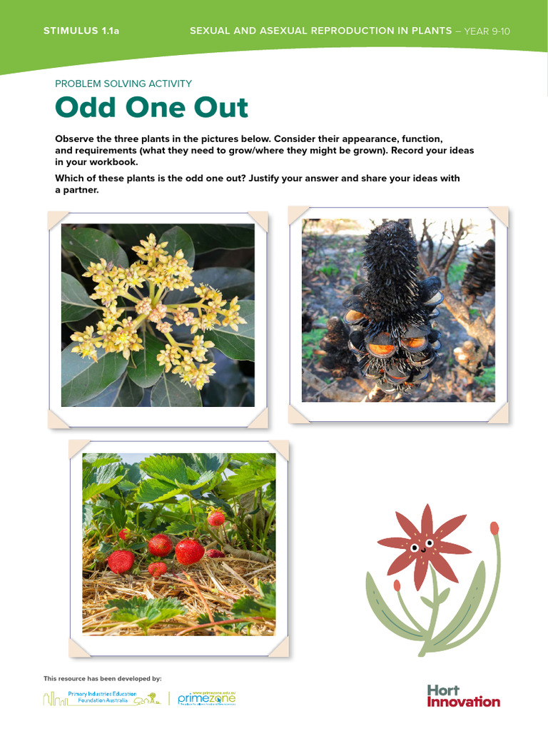 Sexual and A Sexual Reproduction in Plants Worksheets | PDF ...