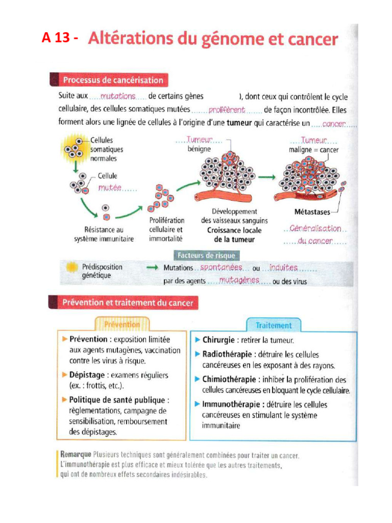 Fiche Bilan Cancer Complet (1) | PDF