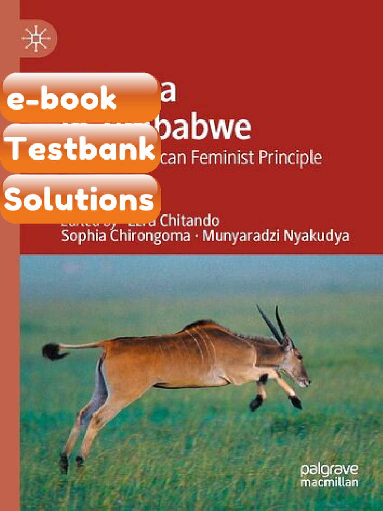 Chihera in Zimbabwe Radical African Feminist Principle 2023rd Edition ...
