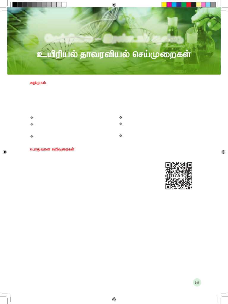 Namma Kalvi 12th Bio-Botany Practical Manual TM 215828 | PDF