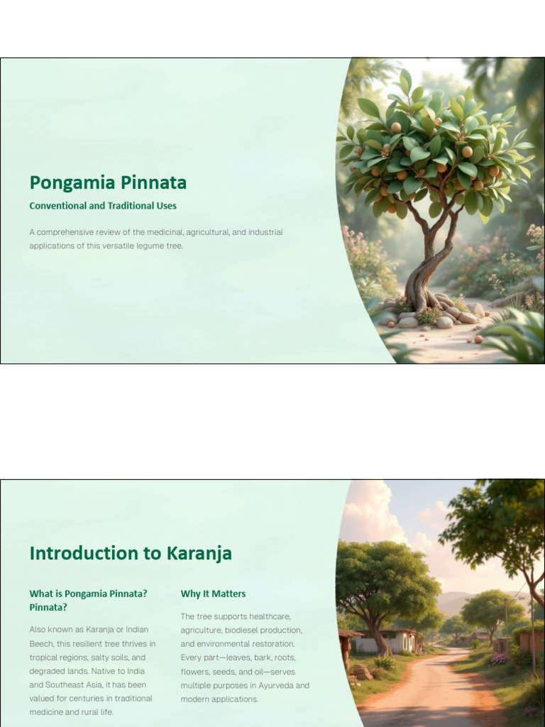 Pongamia Pinnata Slides | PDF