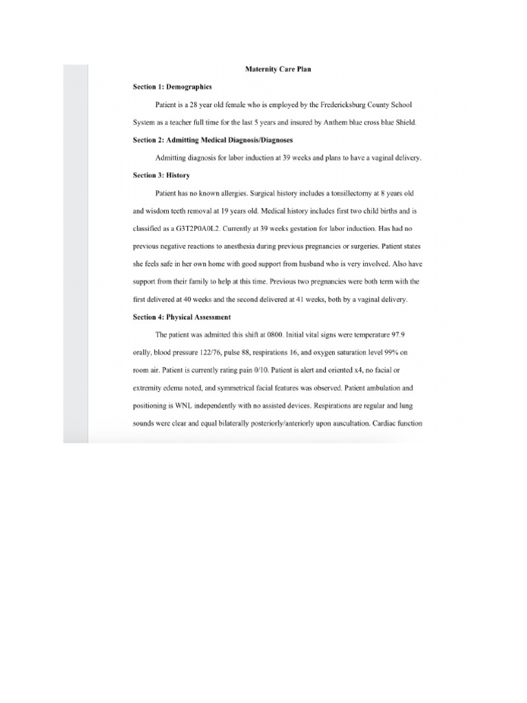 Maternity Care Plan Example | PDF