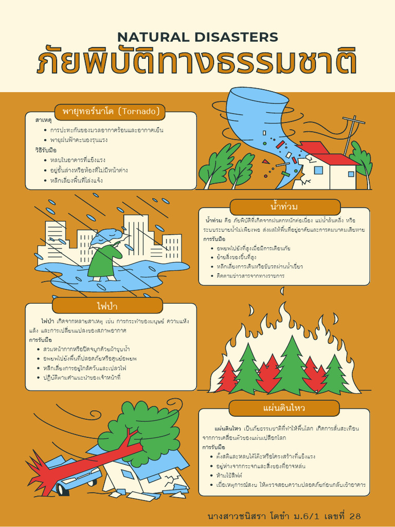 Meteorological Disasters Poster | PDF