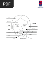 Describing People: Physical Appearance Guide | PDF | Hair | Blond
