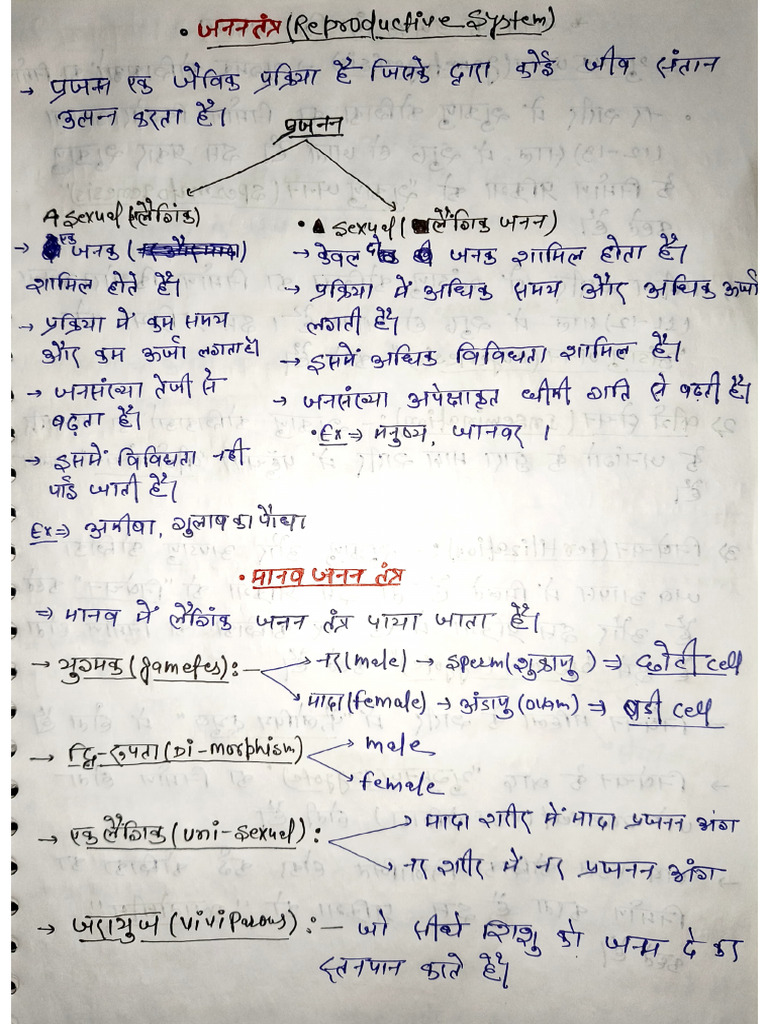 Reproduction System | PDF