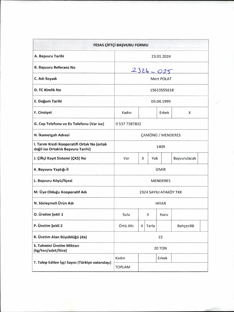 2324-35 Mert Polat | PDF