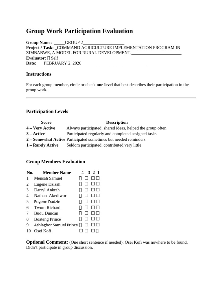 Group 2 Work Participation Evaluation | PDF