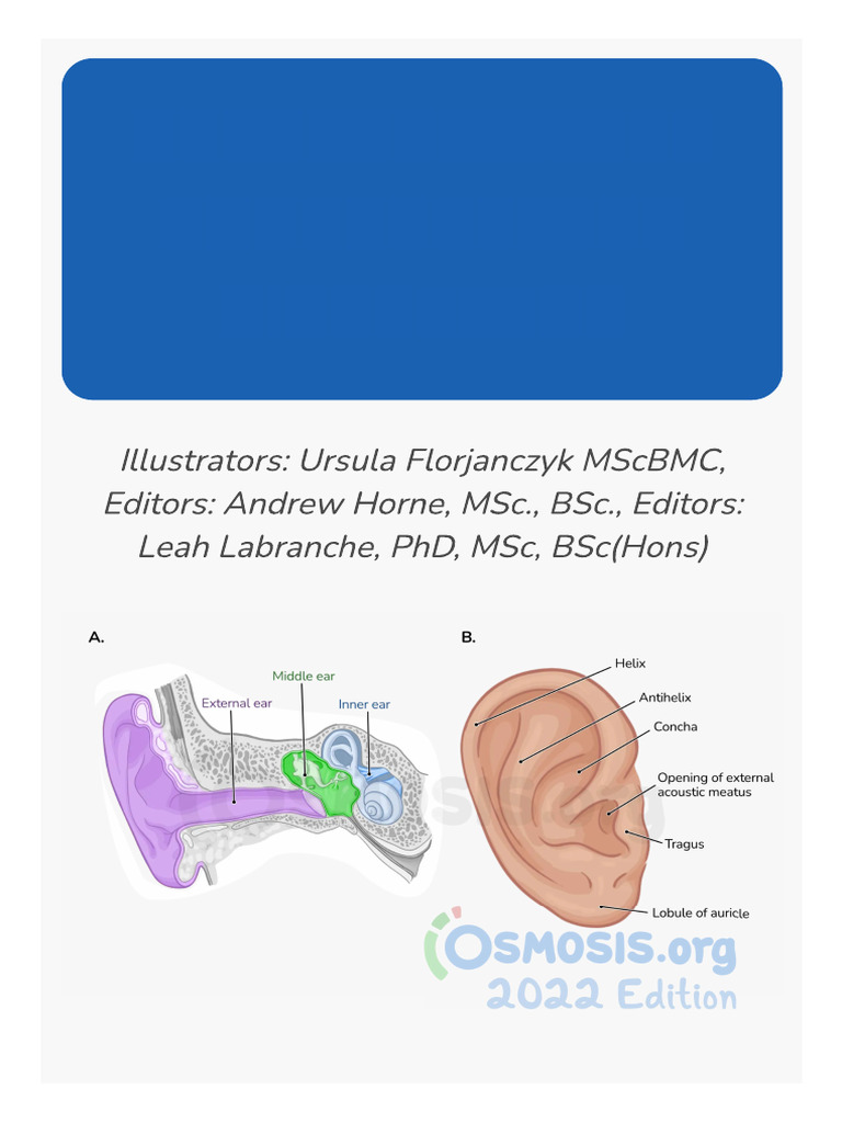 Outer & Middle Ear Osmosis | PDF