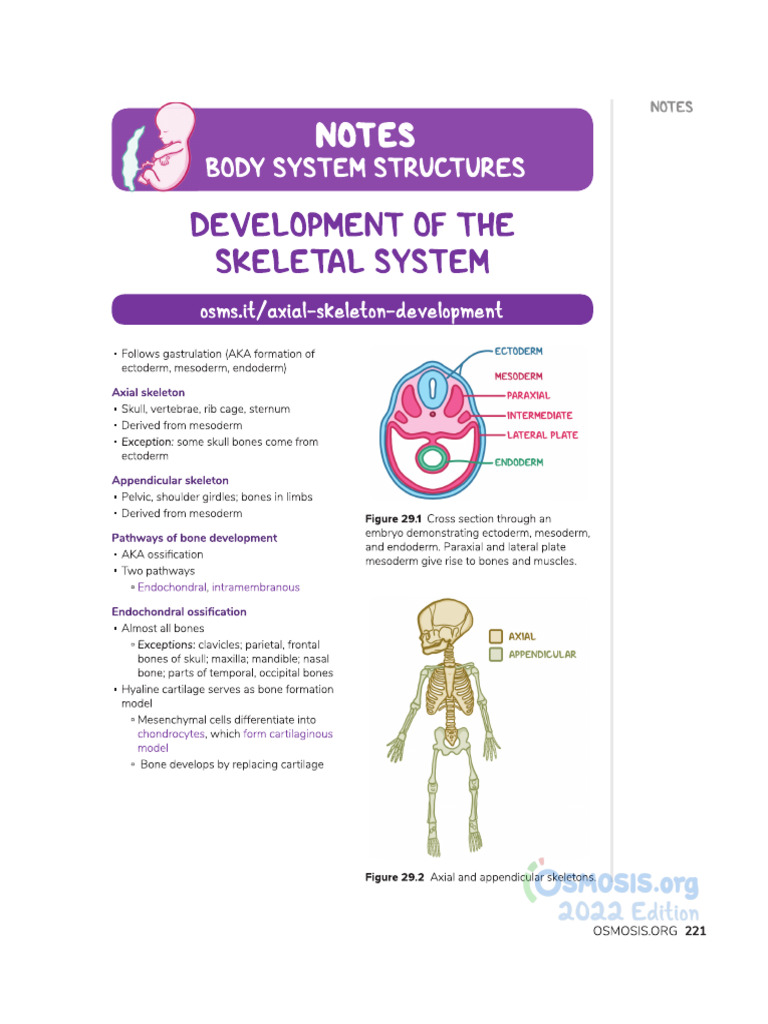 Body System Structures Notes - Diagrams & Illustrations - Osmosis | PDF
