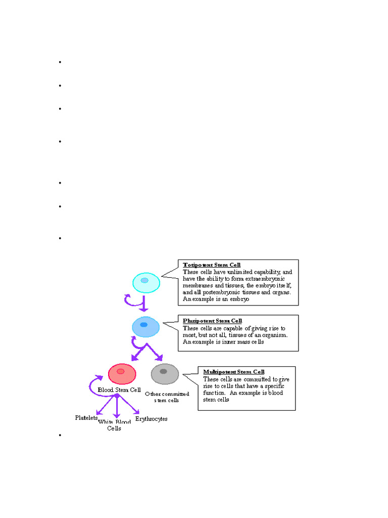 Cell - Differentiation - Stem Cells | PDF | Stem Cell | Embryonic Stem Cell