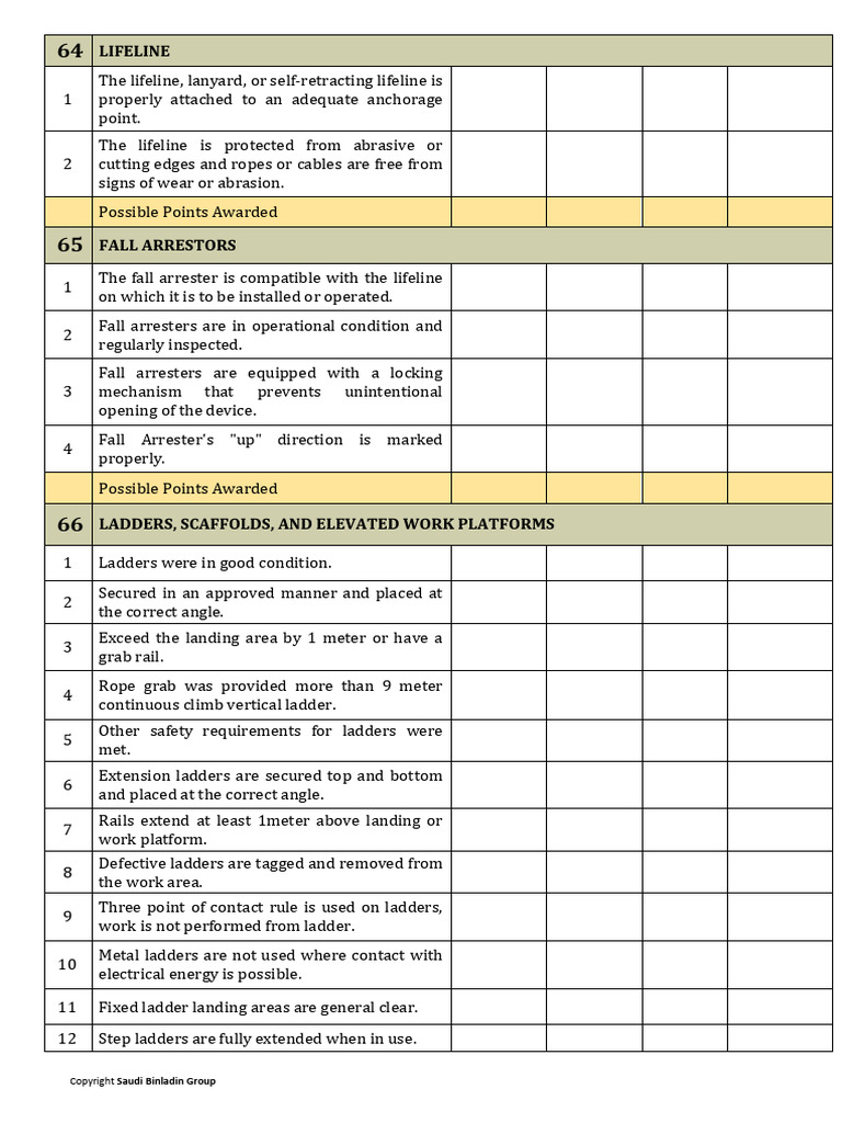 Safety Inspection Forms-84 | PDF | Scaffolding | Ladder