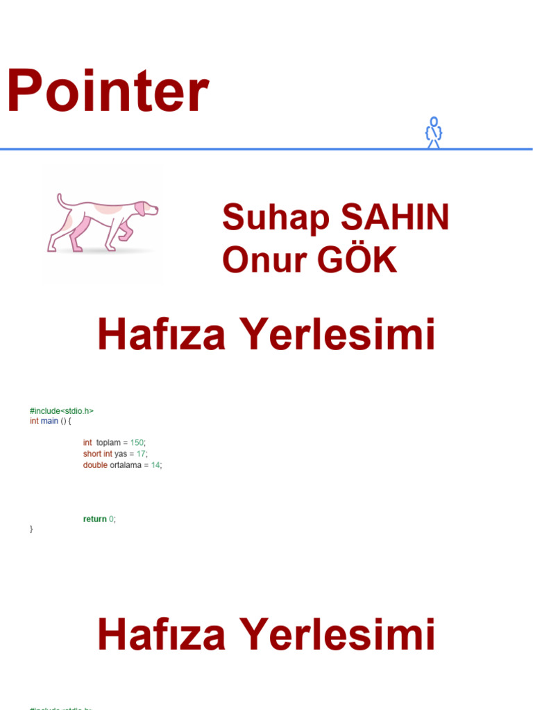 01 Pointer | PDF
