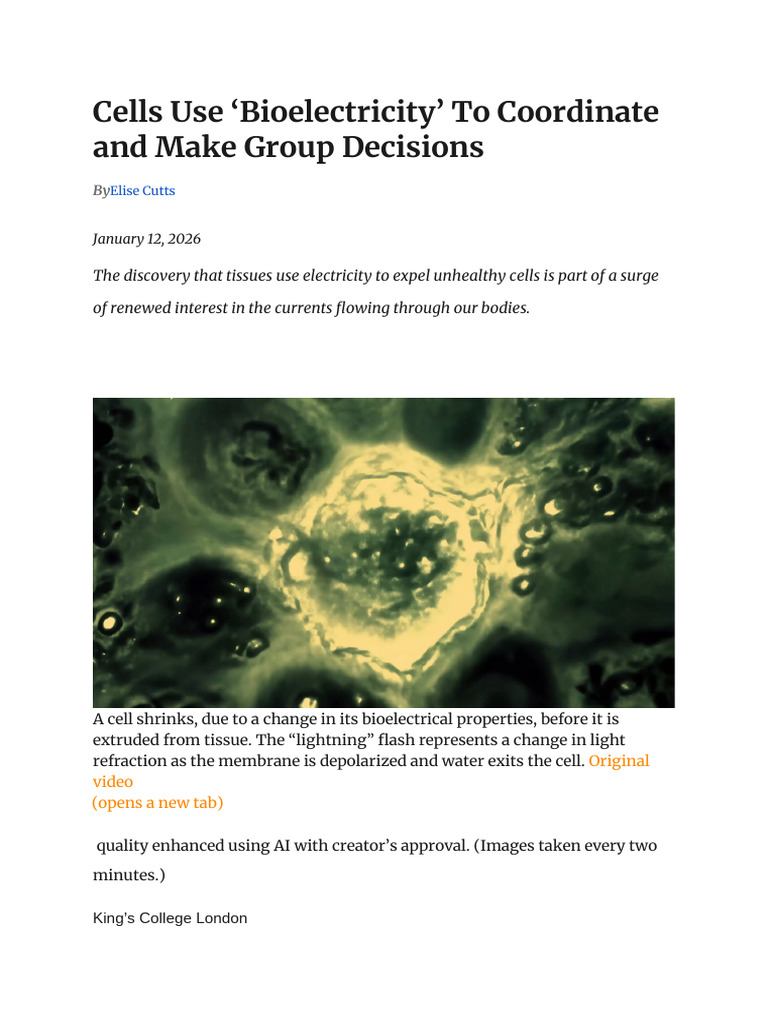 Cells Use Bioelectricity' To Coordinate and Make Group Decisions | PDF ...
