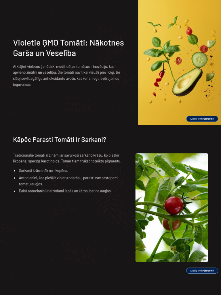 Violetie-GMO-Tomati-Nakotnes-Garsa-un-Veseliba | PDF