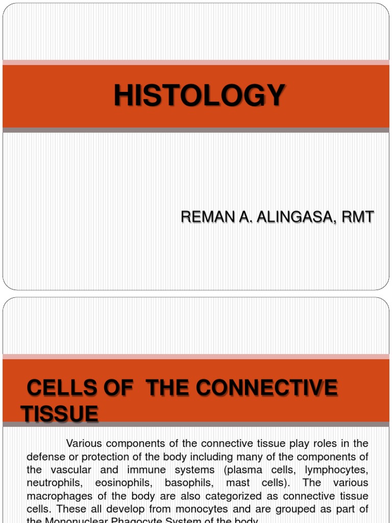 Connective Tissue - Lab | PDF | Bone | Tissue (Biology)