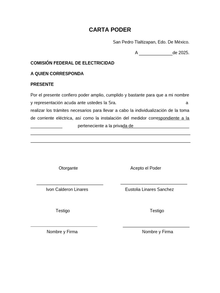 Carta Poder Cfe | PDF
