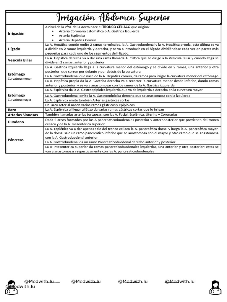 Irrigación Pancreas, Duodeno, Bazo Bylu | PDF | Estómago | Abdomen