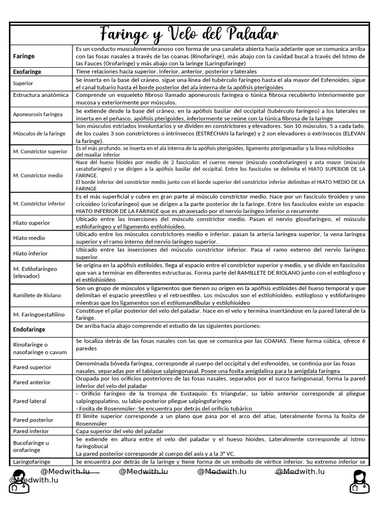 Faringe Bylu | PDF | Anatomía humana | Cabeza y cuello humanos