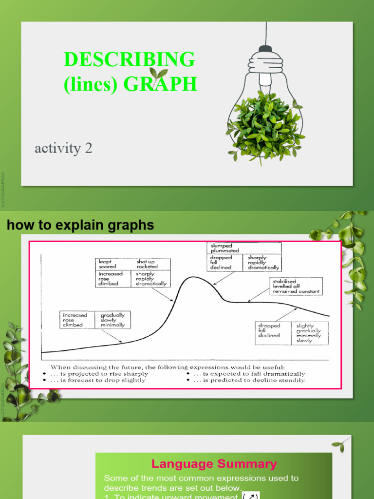 Describing (Lines) Graph | PDF