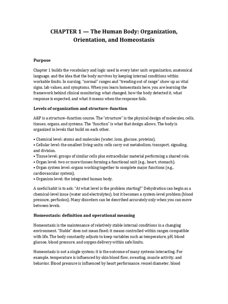 Chapter 1-The Human Body Organization, Orientation, and Homeostasis ...